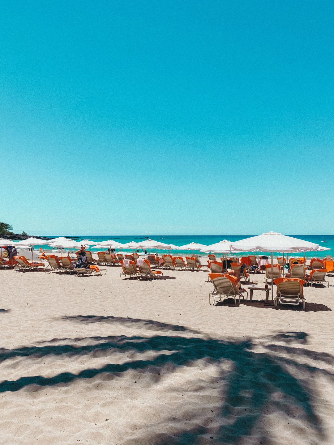 Mauna Kea Beach Hotel, Autograph Collection | Cvent